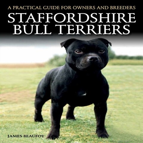 Staffordshire Bull Terriers - Tesco Groceries