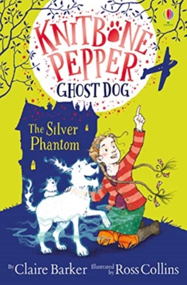 The Silver Phantom Paperback Book - Tesco Groceries