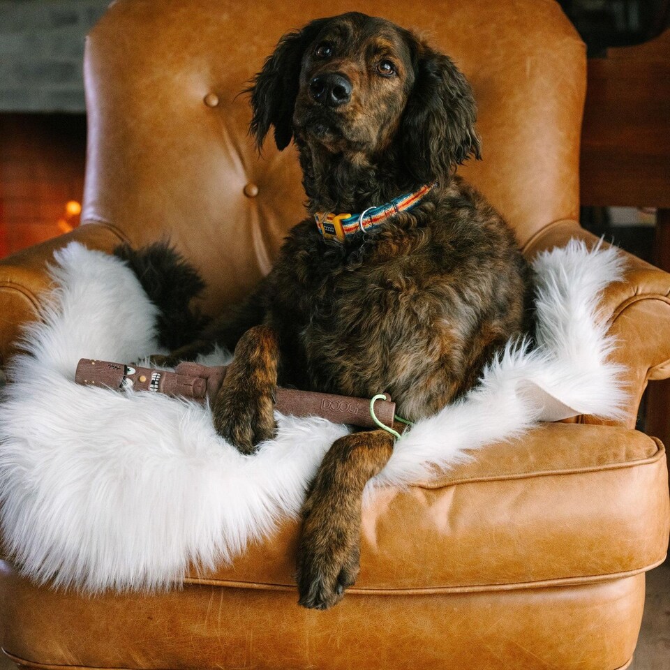 DOOG Durable Floating Dog Throwing Stick - Uncle Chuck - Tesco Groceries