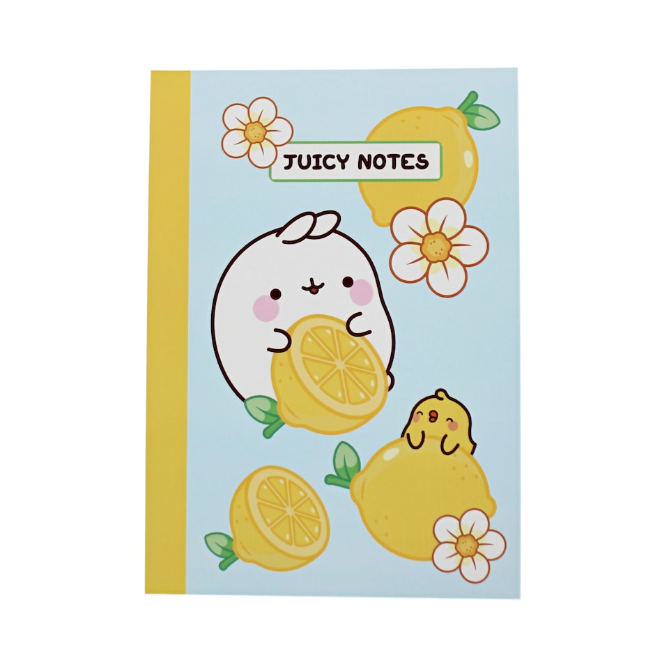 Molang Composition Book - Tesco Groceries