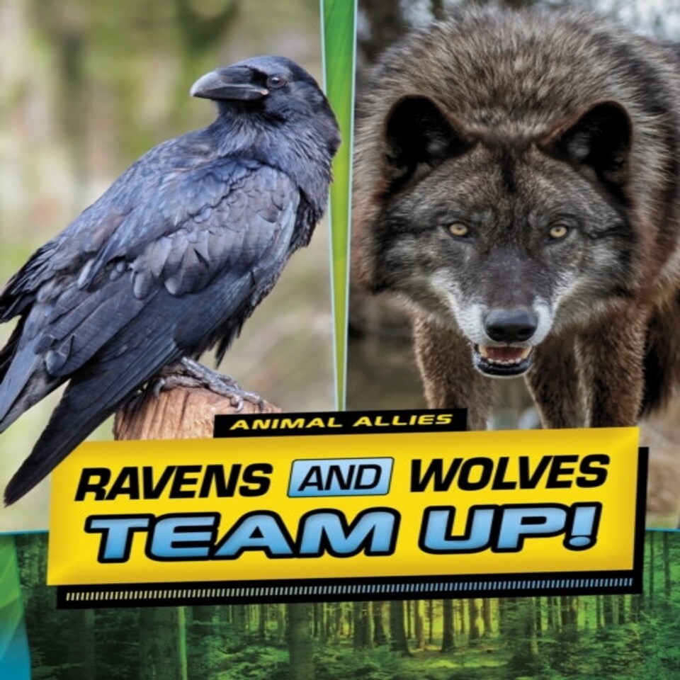 Ravens & Wolves Team Up - Tesco Groceries