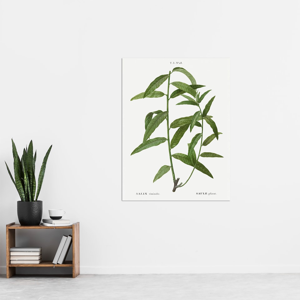 Basket Willow Botanical Redoute Vintage Huge Wall Art Poster Print ...