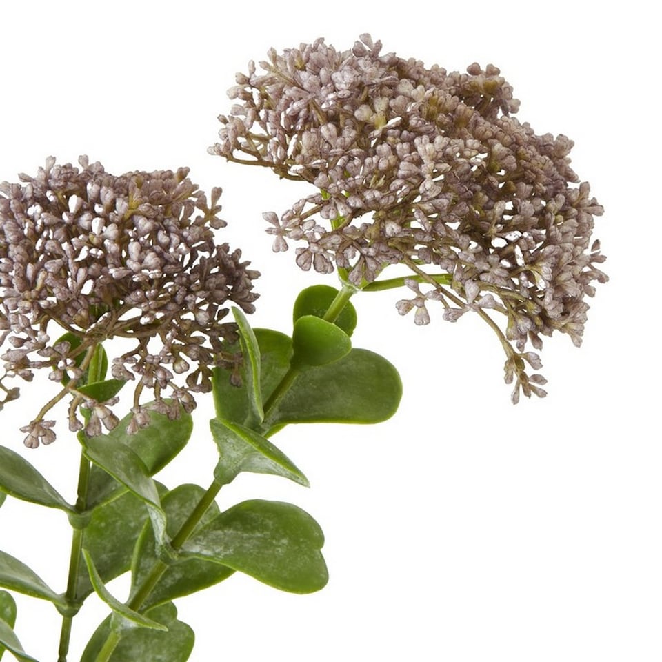 Sedum Spray (Single Stem Flower) - Plastic - Height 58 cm - Purple ...