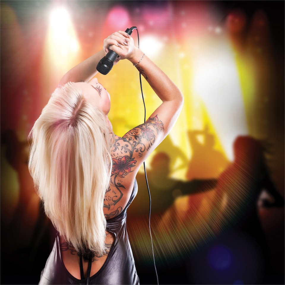 SoundLAB Dynamic Handheld Microphone 600 Ohm Black - Tesco Groceries