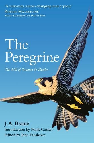 The Peregrine Paperback Book - Tesco Groceries