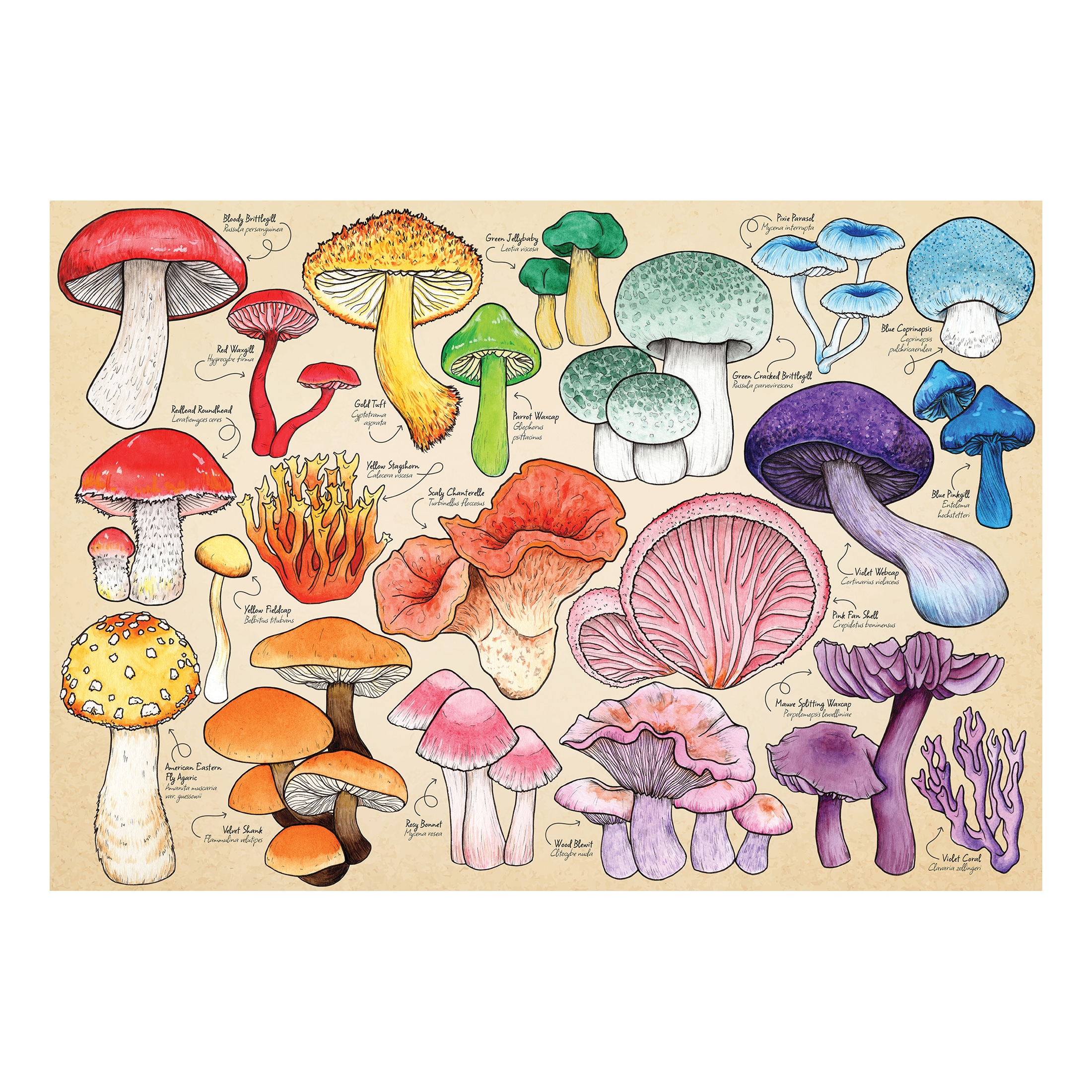 Mushroom Mania Mini Jigsaw Puzzle Tube - 150 Piece - Tesco Groceries