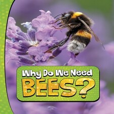 Why Do We Need Bees - Tesco Groceries