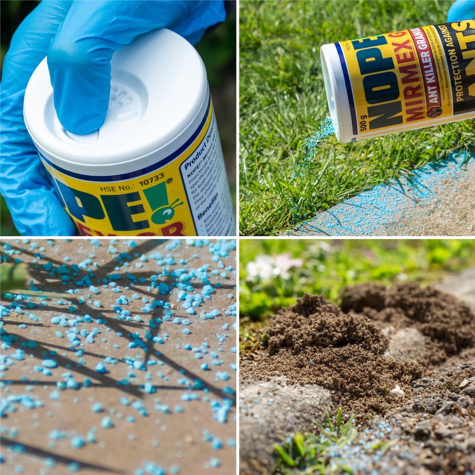 NOPE Ant Killer Bait Powder Granules 500g x 2 Pack for Indoors and ...