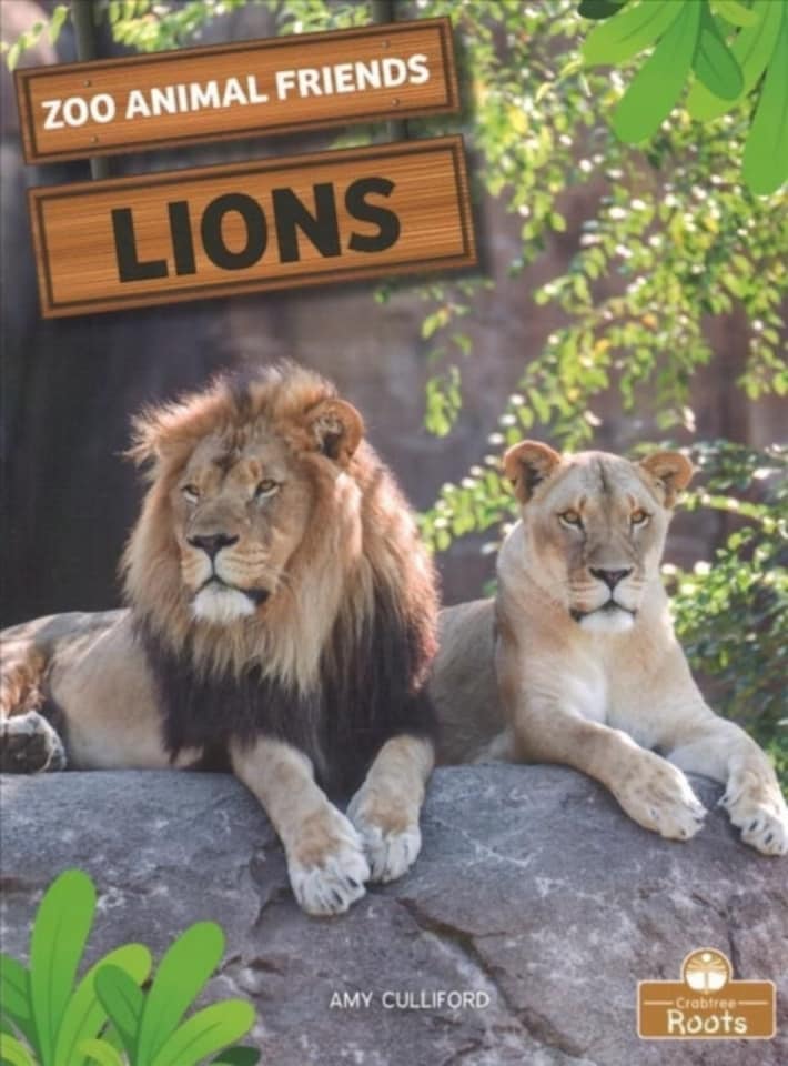Lions Paperback Book - Tesco Groceries