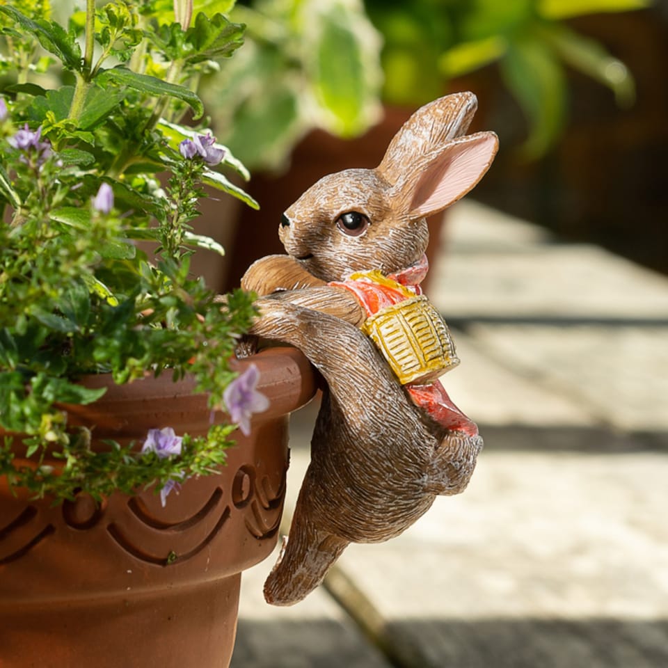 Beatrix Potter Flopsy Bunny Plant Pot Hanger - L11.5 x W6 x H6 cm ...