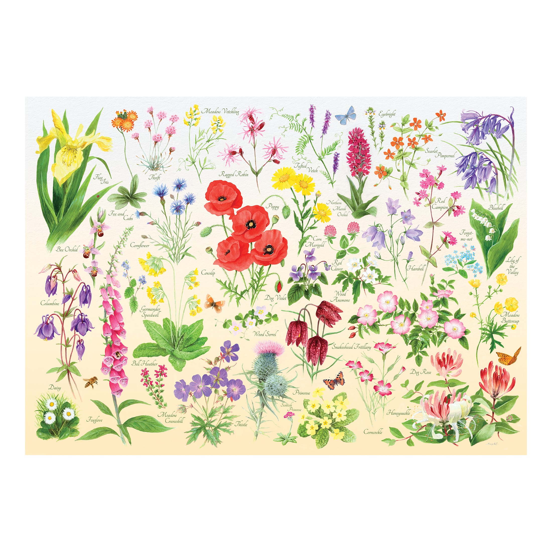 Wildflowers Mini Jigsaw Puzzle Tube - 150 Piece - Tesco Groceries