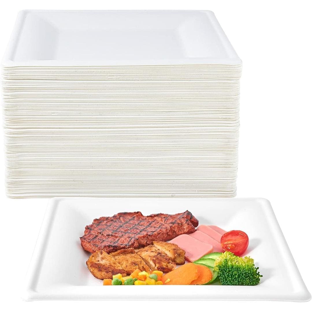 ECONX 10 Inch Large Square Disposable Bagasse Plates Biodegradable ...