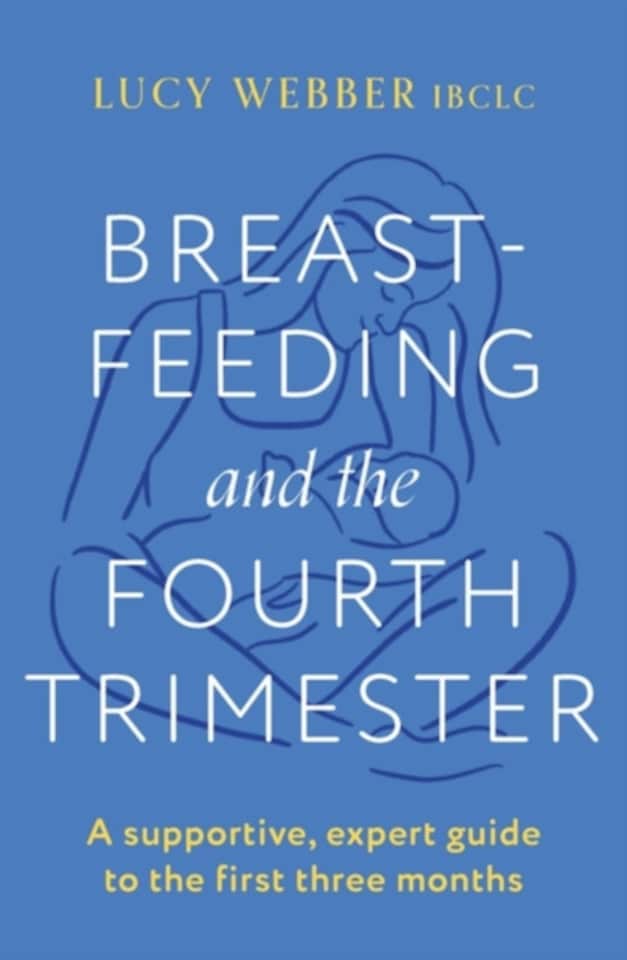 Breastfeeding and the Fourth Trimester Paperback Book - Tesco Groceries
