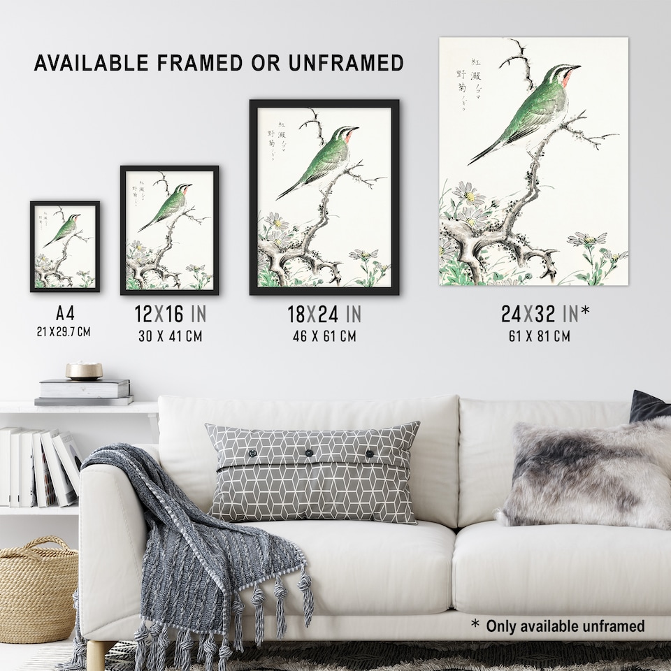 Ruby Throat Bird and Wild Camomile Vintage Wall Art Print Kashu 12x16 ...