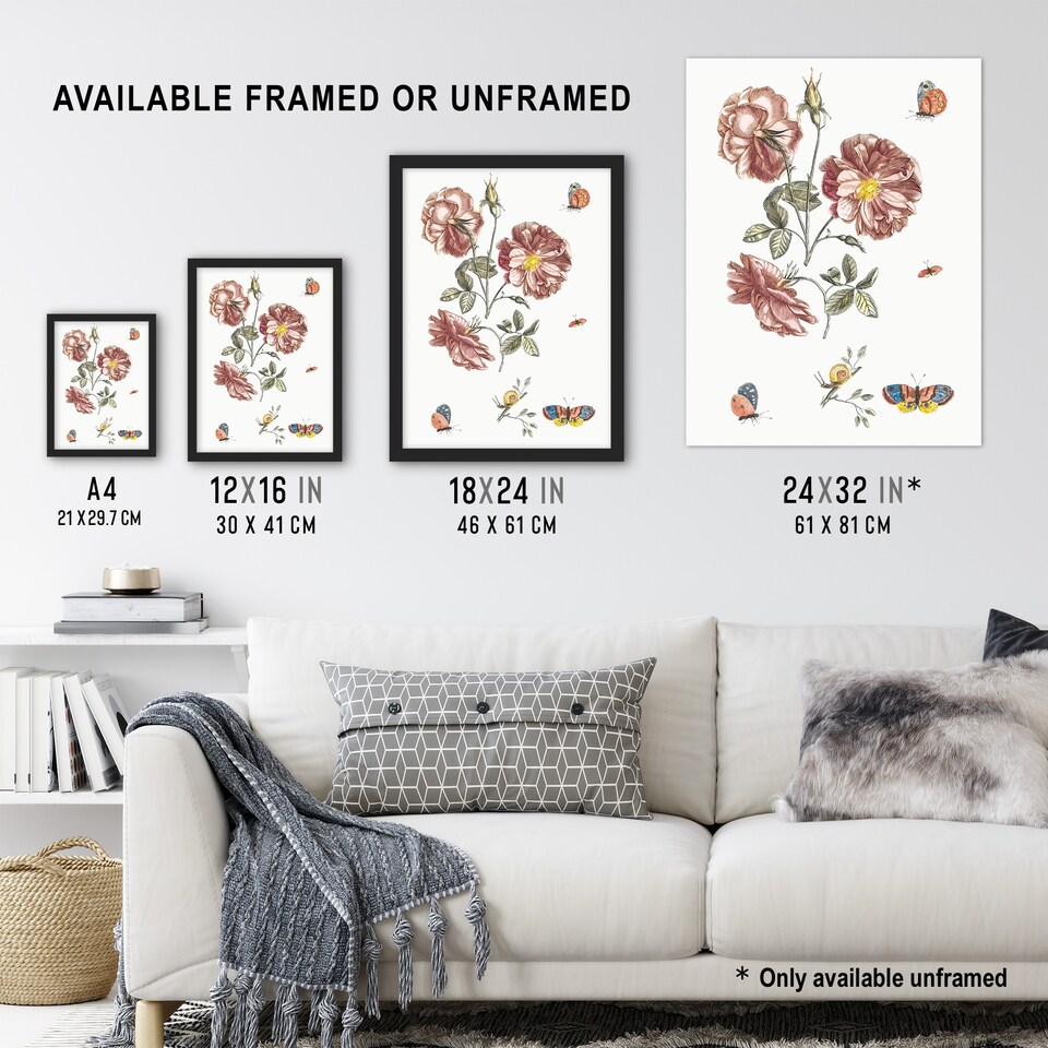 Rose Flowers Butterflies and a Snail Teyler Wall Art Poster Print ...