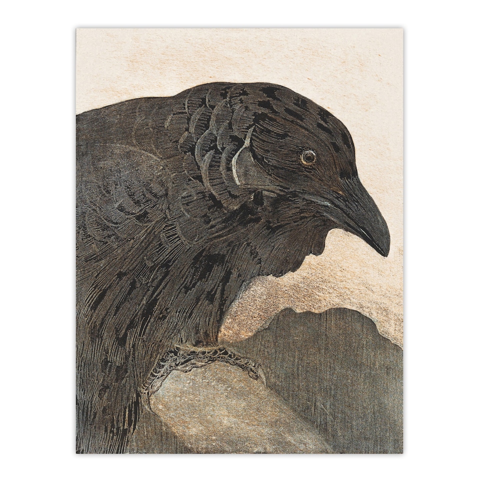 Old Crow Bird Painting Vintage Wall Art Print van Hoytema 12x16 ...