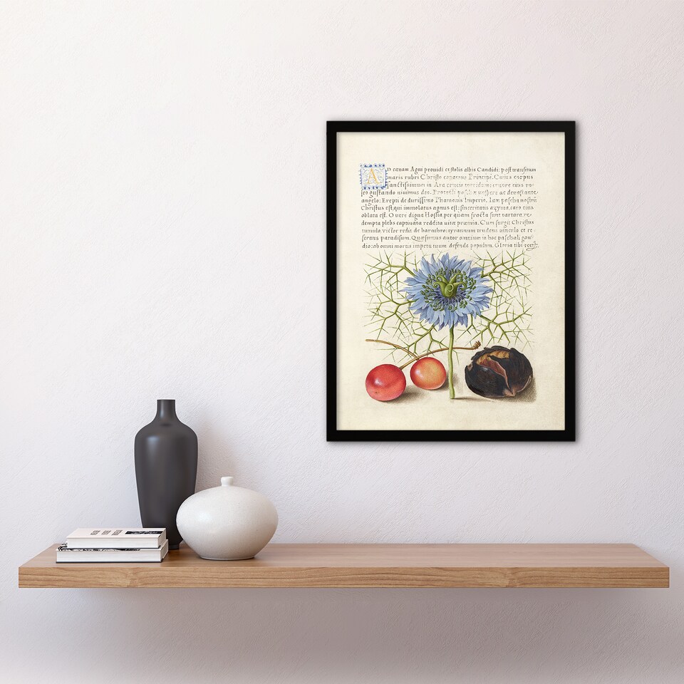 Model Book of Calligraphy Framed Wall Art Love in a Mist and Cherries ...