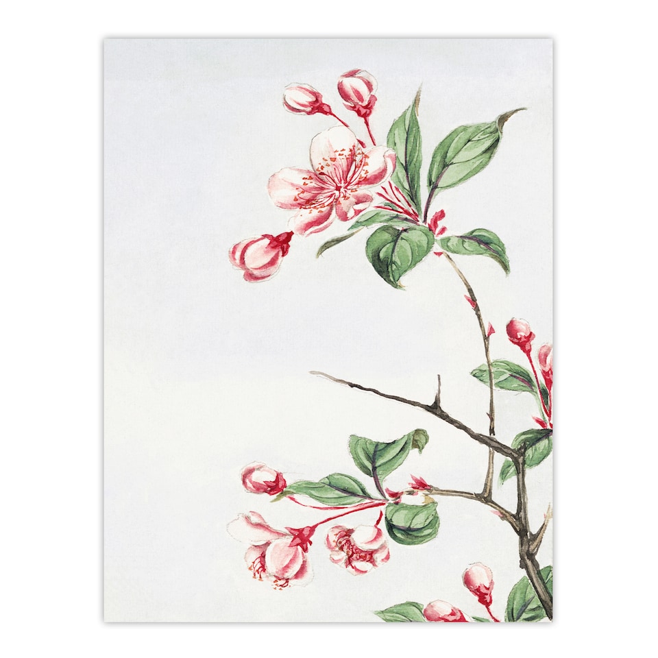 Kaido Crabapple Flower Bloom Retro Japan Wall Art Print Morikaga 18x24 ...
