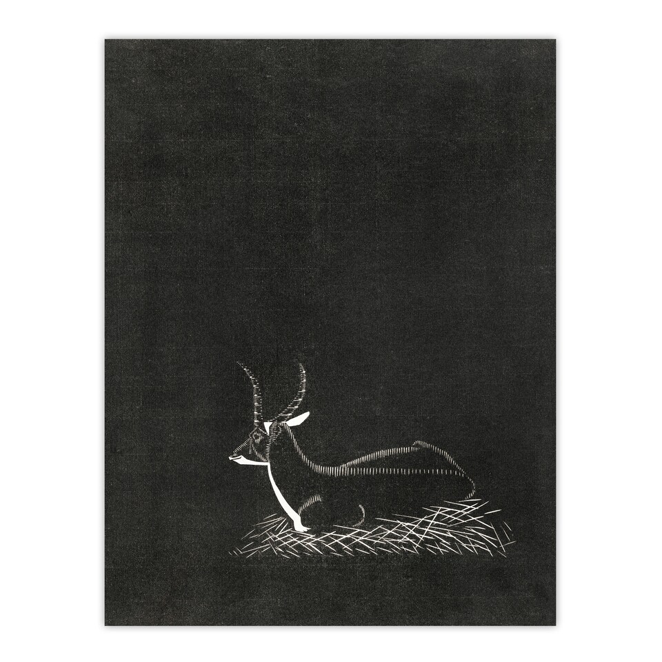 Samuel J De Mesquita Framed Wall Art Stylised Waterbuck Painting Home ...