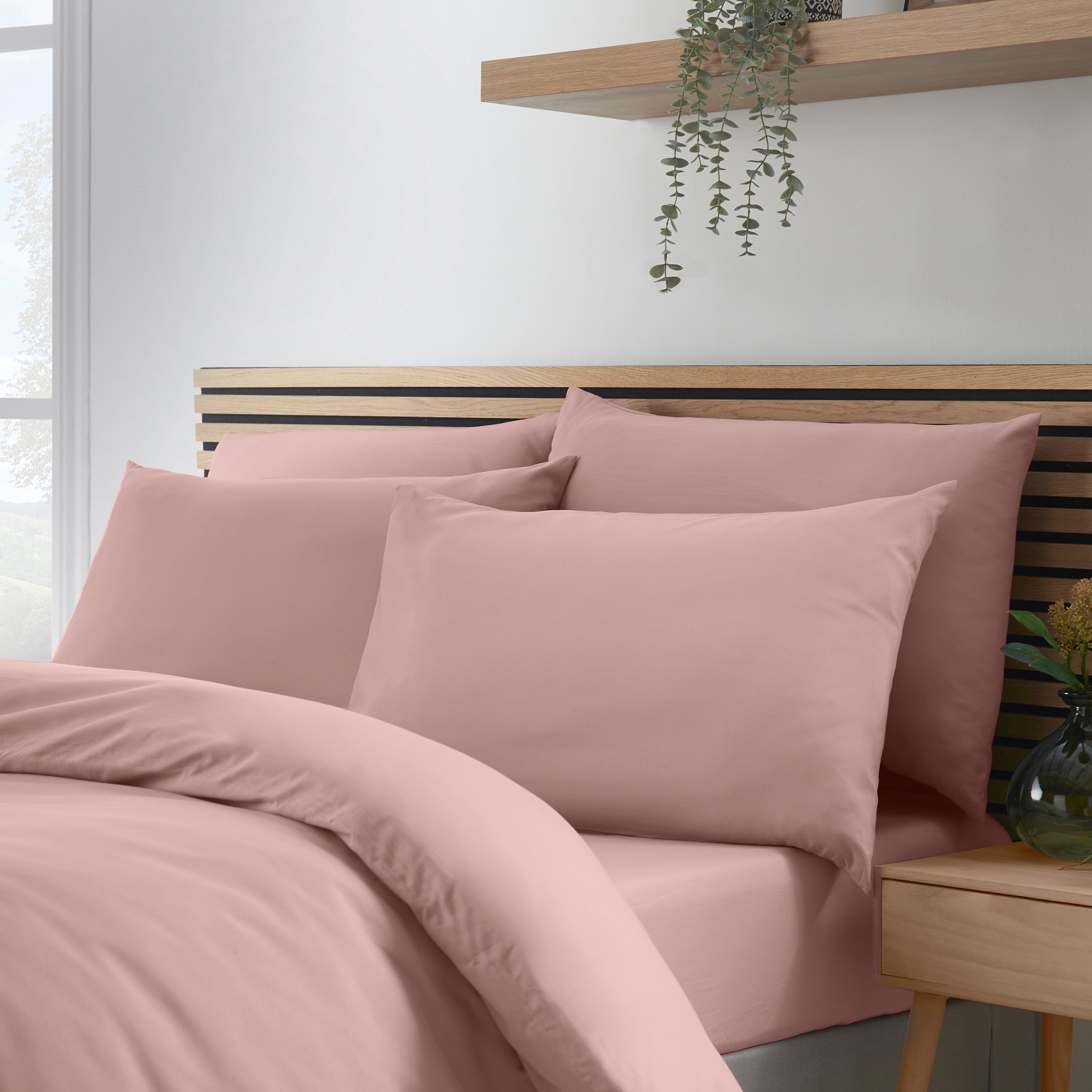 Catherine Lansfield So Soft Non-Iron Standard Pack of 4 Pillowcases ...