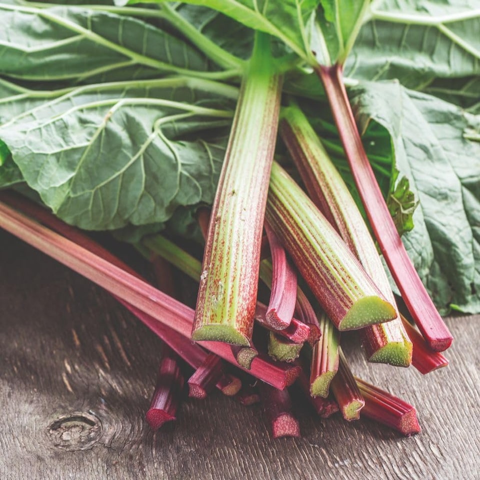 Rhubarb Victoria Seeds - Tangy Stalks Pies & Crumbles. Hardy Perennial ...