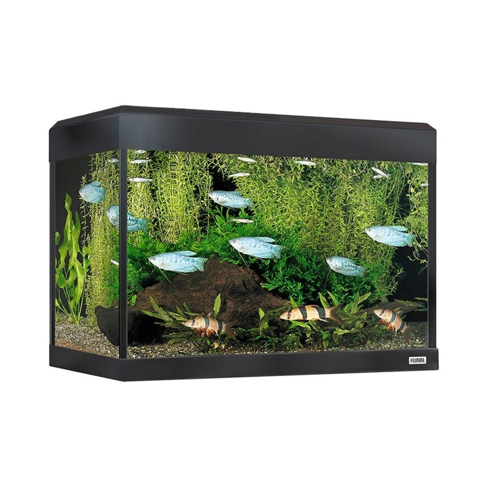 Fluval Roma 90L Aquarium Multi - Tesco Groceries