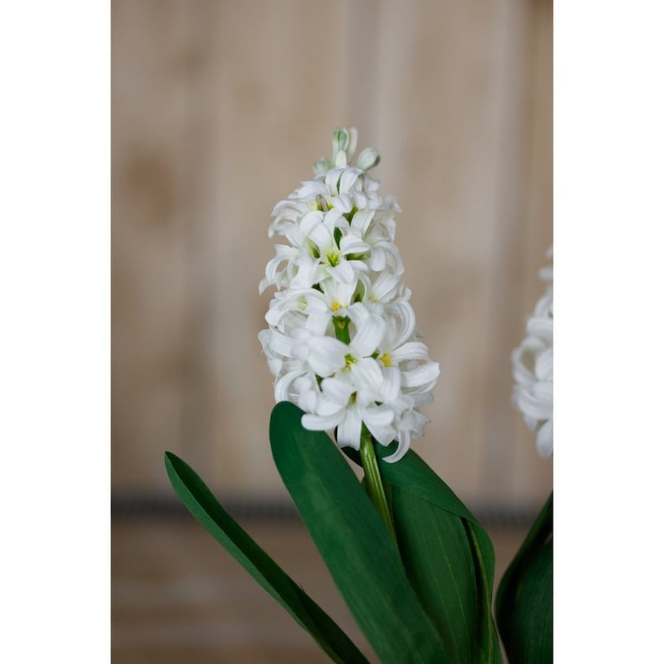 Hyacinth (Single Stem Flower) - Plastic - Height 44 cm - White - Tesco ...