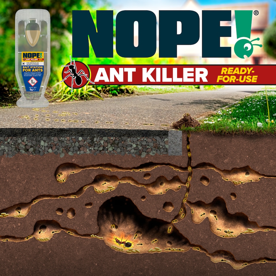 NOPE Ant Killer 3 x Bait Stations Box x 3 Pack - Tesco Groceries