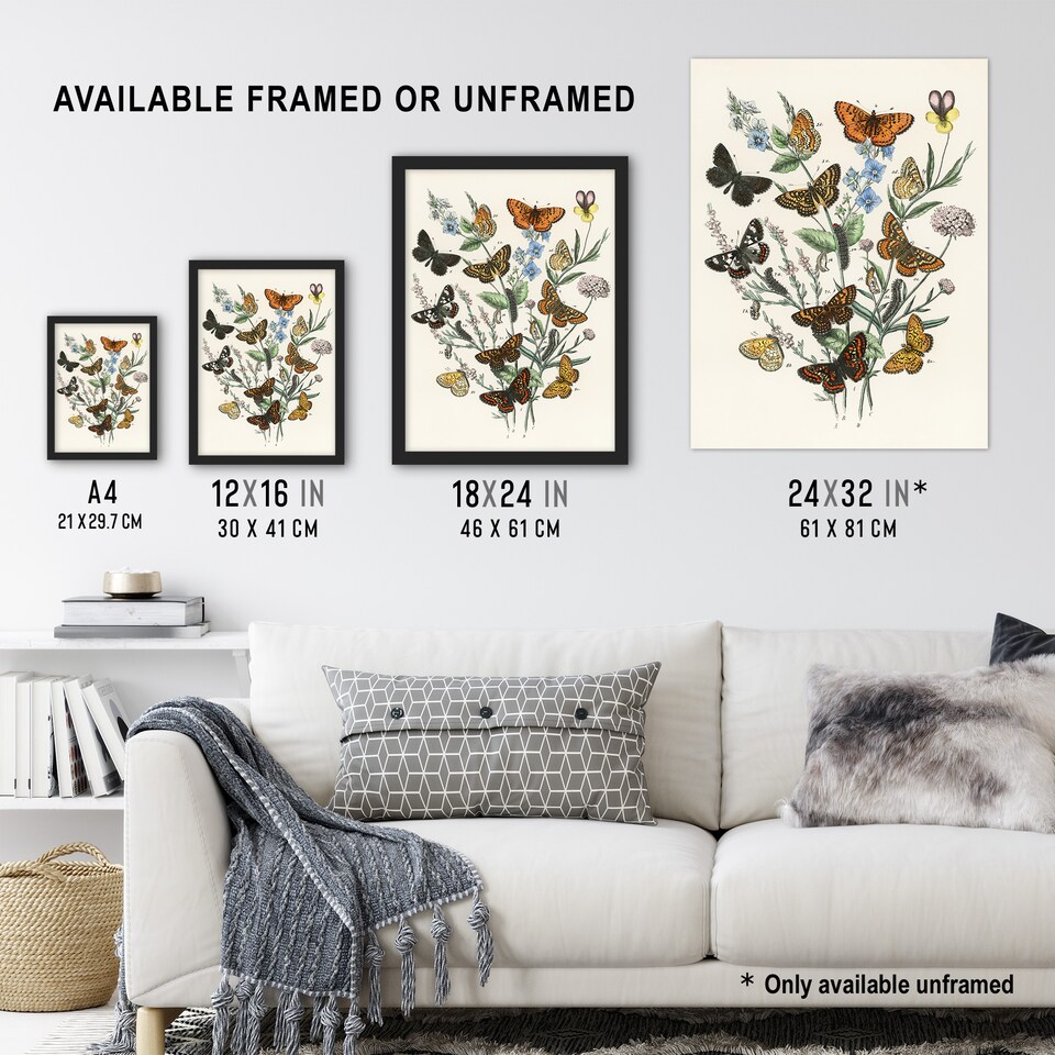 Butterflies and Caterpillars Kirby Vintage Wall Art Poster Print 12X16 ...