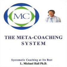 Meta-coaching System - Tesco Groceries