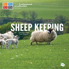 Sheep Keeping - Tesco Groceries