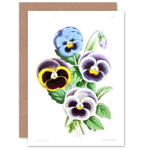 Flower Pansies Viola Greetings Card - Tesco Groceries