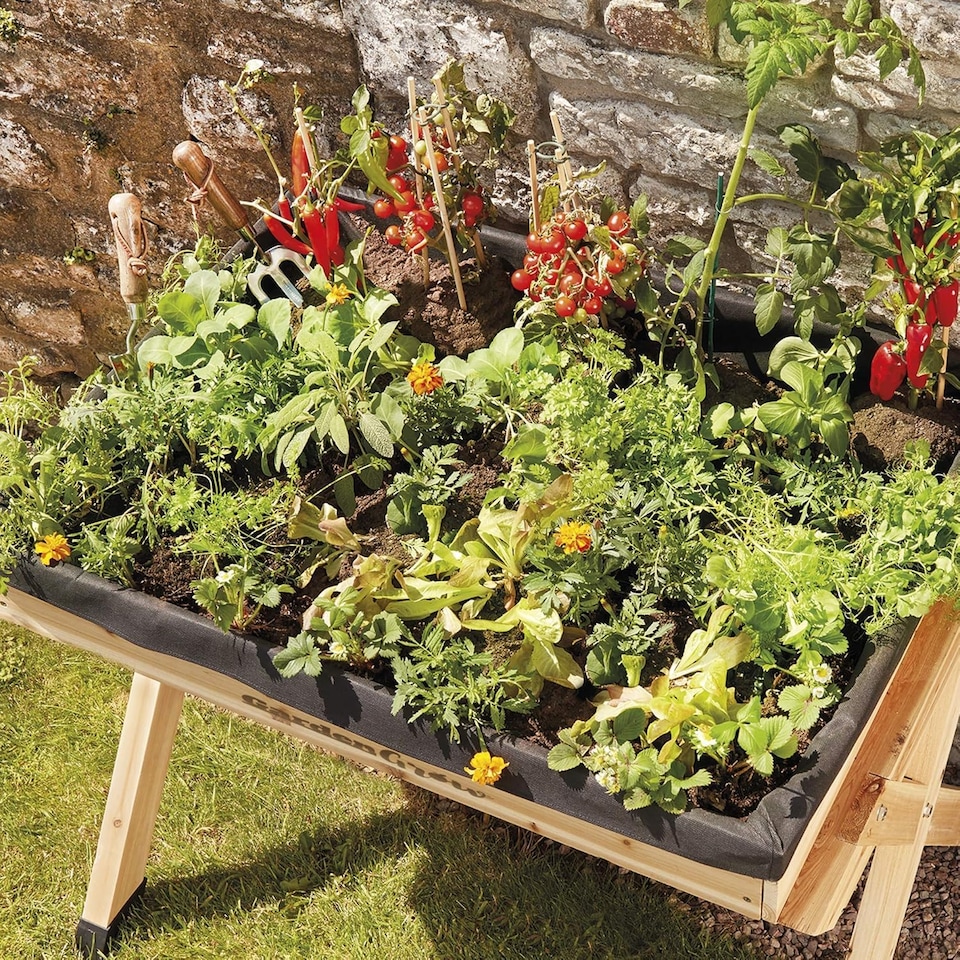 Raised Vegetable Planter Outdoor Large Wooden Flower Bed Box for Plants ...