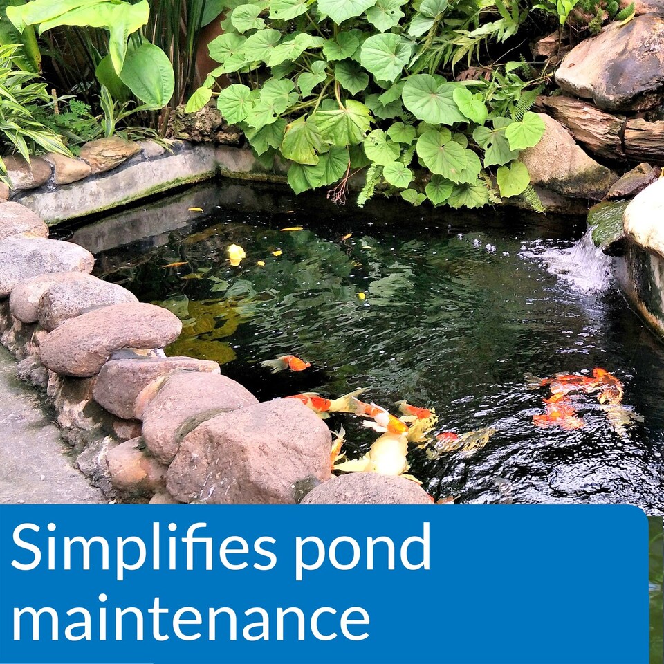 3.78L API Pond Ecofix Sludge Destroyer Pond Water Clarifier Treatment ...