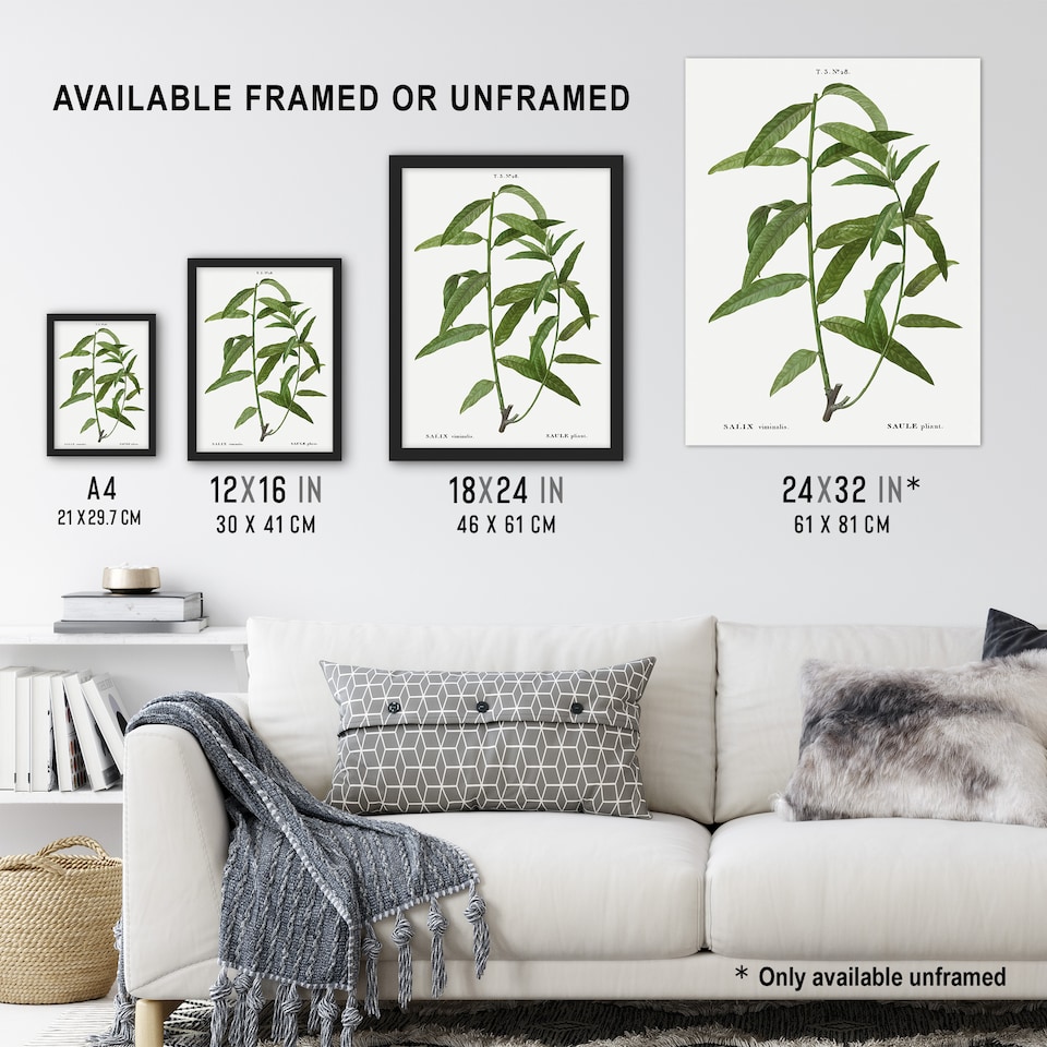 Basket Willow Botanical Redoute Vintage Huge Wall Art Poster Print ...