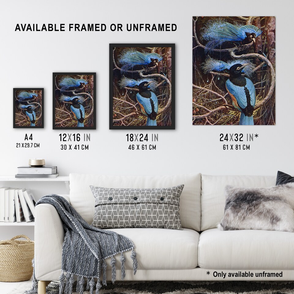 Blue Bird of Paradise Sir Henry Johnston Vintage Framed Wall Art Print ...