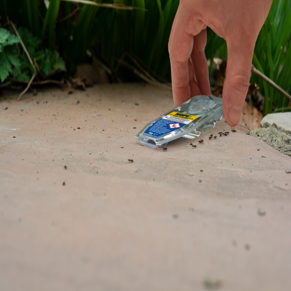 NOPE Ant Killer 3 x Bait Stations Box x 3 Pack - Tesco Groceries