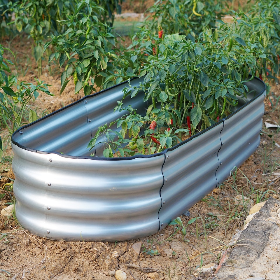Gr8 Garden Garden Outdoor Raised Bed Planter Oval Galvanised Steel ...