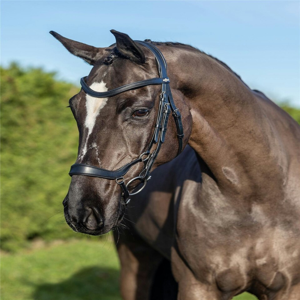 LeMieux Arika Drop Bridle Black | Cob - Tesco Groceries