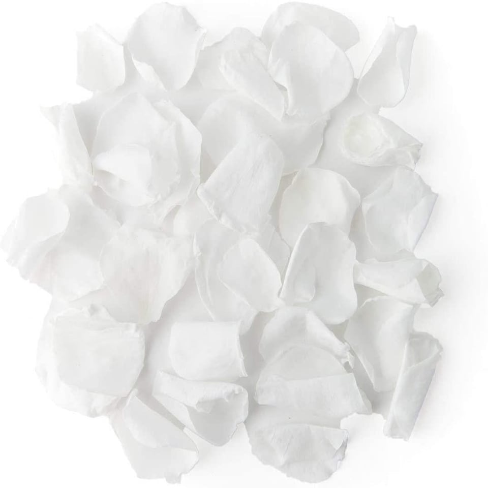 White Rose Petals 5000 Pack Large Bulk Silk Petals for Event Planners ...