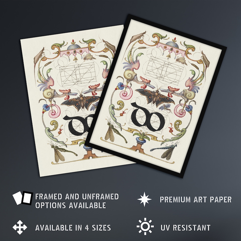 Ligature Guide with Butterfly Calligraphy Wall Art Poster Print 12X16 ...