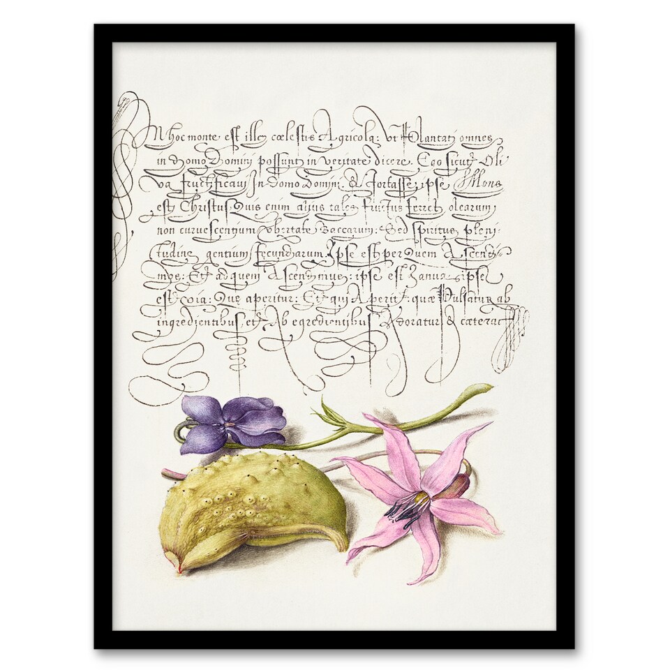 Model Book of Calligraphy Framed Wall Art Violet Blooms and Gourd Home ...