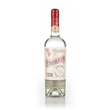Campo de Encanto Pisco | Clear - Tesco Groceries