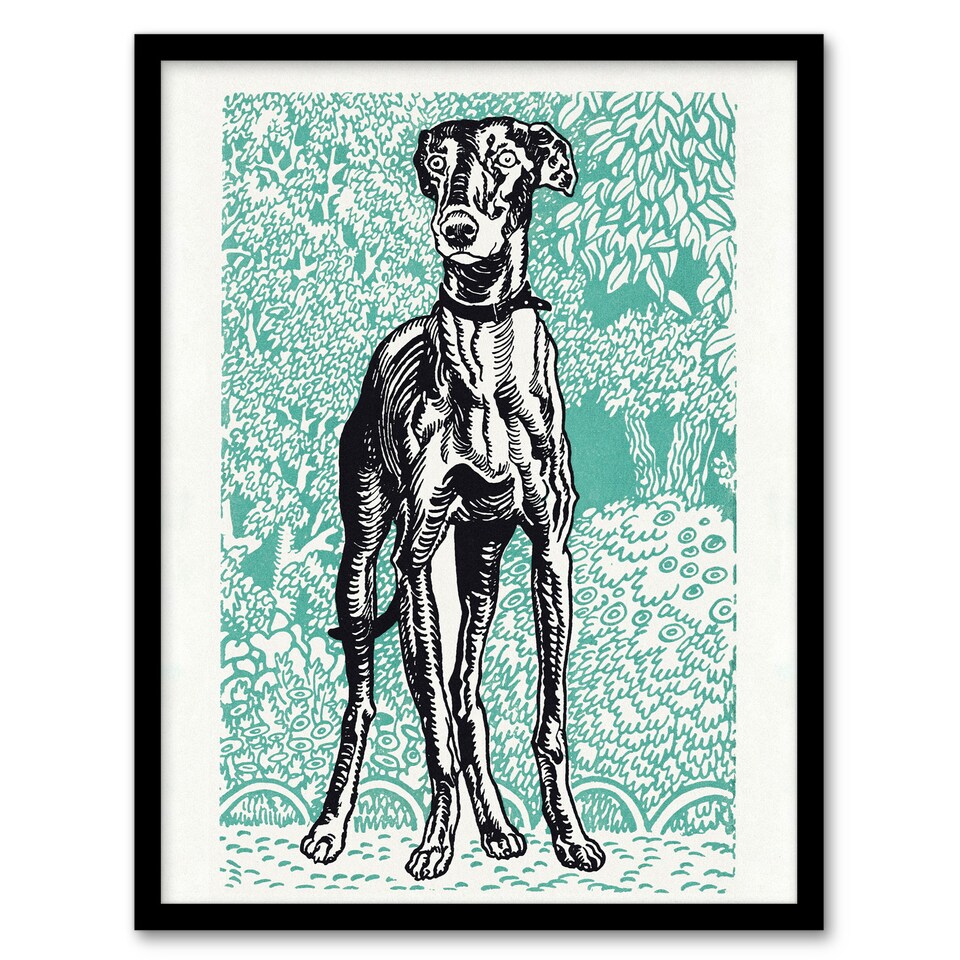 Moriz Jung Dog Lover Greyhound Animal Portrait Framed Wall Art Picture ...